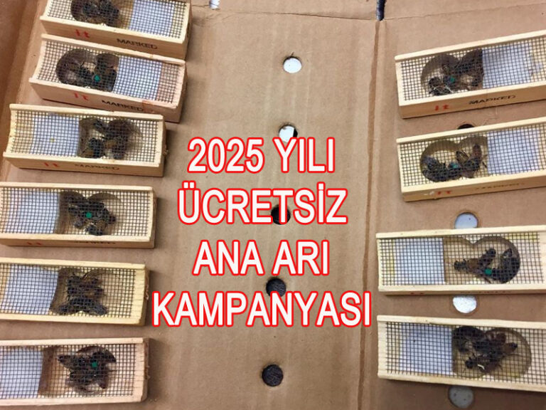 2025 Yılı Ücretsiz Ana Arı Kampanyası - Ana Arı Gen